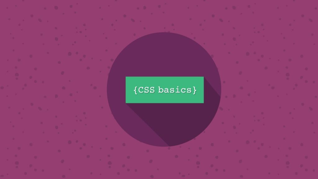 CSS Basics: The Ultimate Beginner's Guide to Stylizing HTML